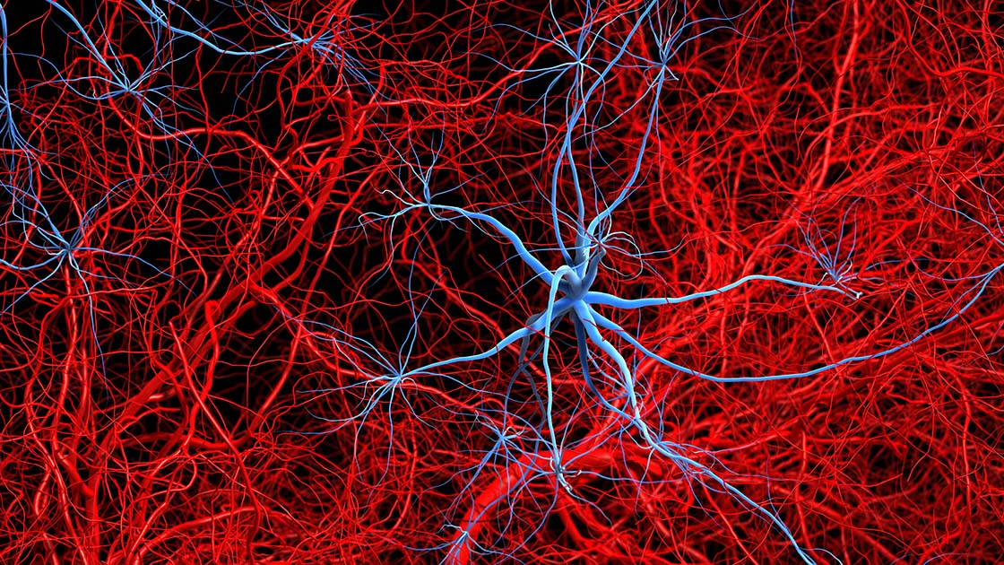Metabolic rewiring driving metastasis formation | Il Bo Live UniPD Metabolic rewiring driving metastasis formation | Il Bo Live UniPD